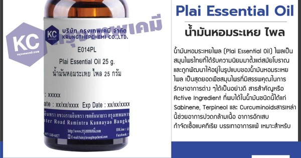 Plai Essential Oil : น้ำมันหอมระเหย ไพล