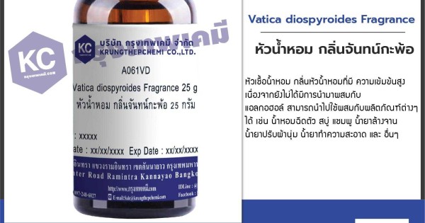 Vatica diospyroides Fragrance : หัวน้ำหอม กลิ่นจันทน์กะพ้อ