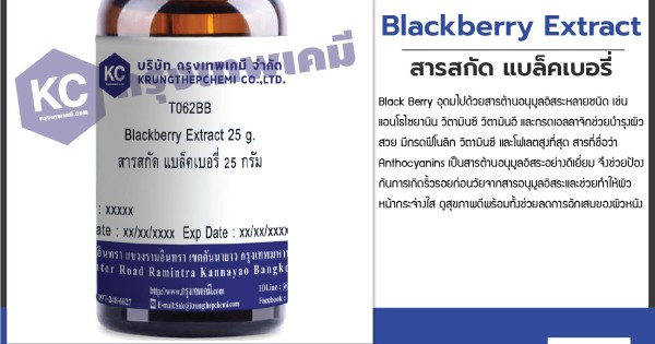 Blackberry Extract : สารสกัด แบล็คเบอรี่