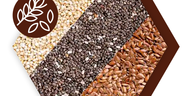 Cerial Grain : เมล็ดธัญพืช